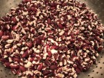 Anasazi Beans in a Crockpot | Mindful Palate